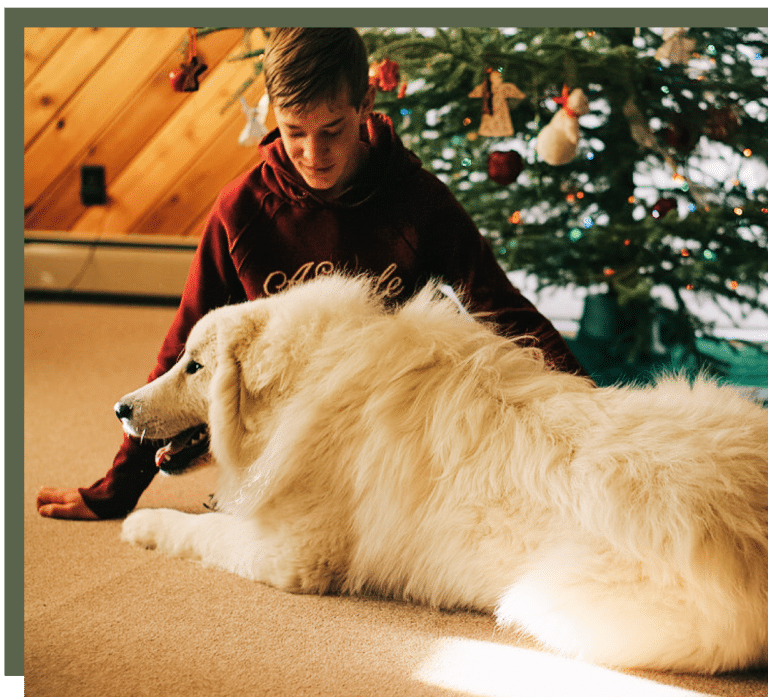 Great Pyrenees Puppies | AKC Registered | Northern MN